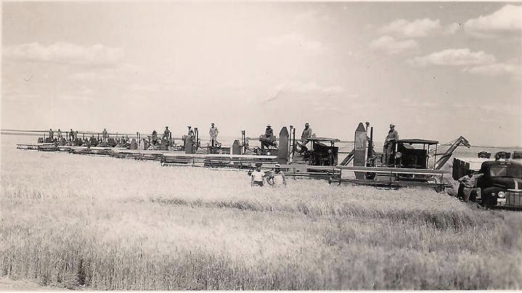 Harvest Equipment: A Brief History of the Combine - Iron Solutions